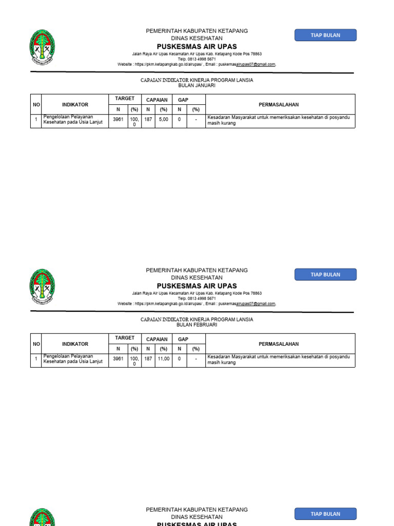 Format Capaian Kinerja Ukm Lansia 2022 | PDF