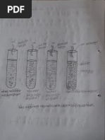 Physics Practical SSC | PDF