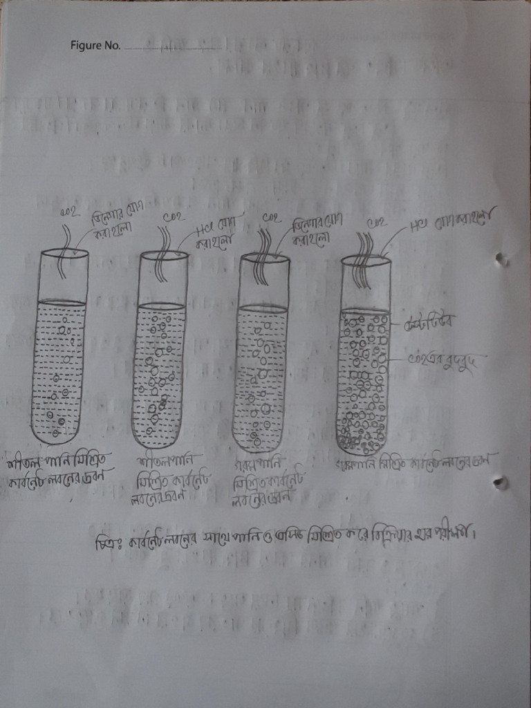 SSC Chemistry Practical | PDF