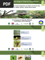 Gusano Soldado Spodoptera Exigua | PDF | Control biológico de plagas ...