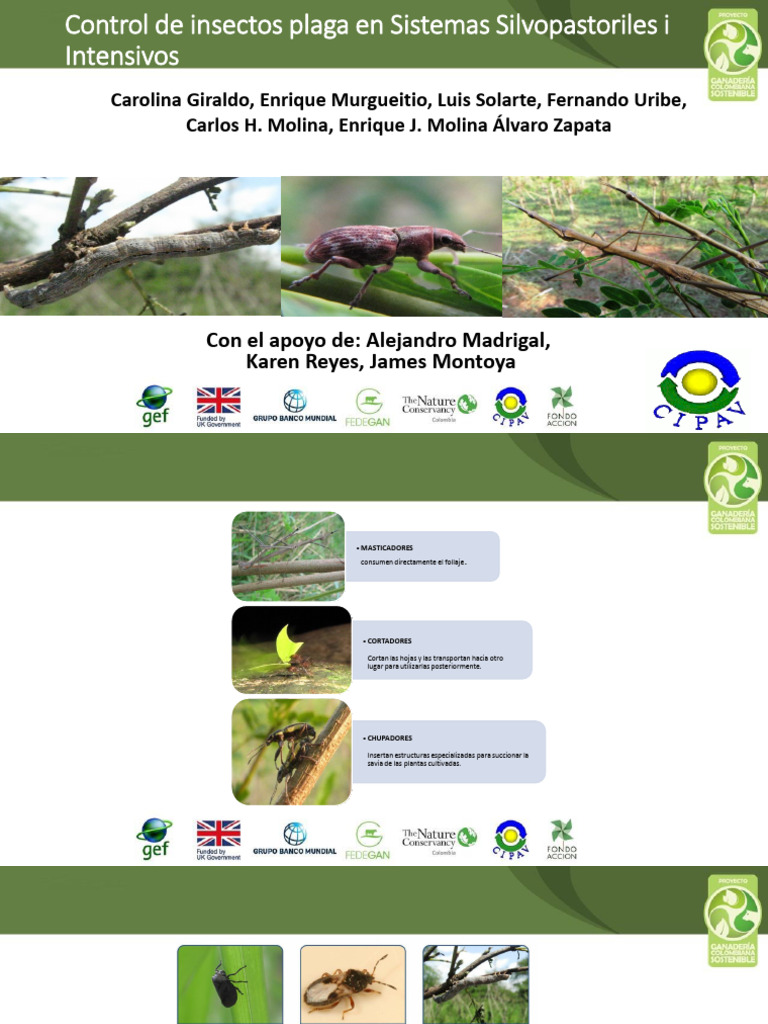 Control Biológico de Plagas y Enfermedades | PDF