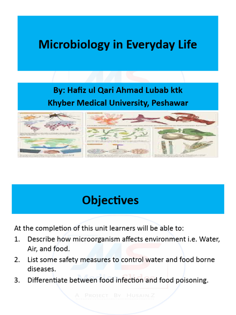Microbiology in Everyday Life. | PDF | Foodborne Illness | Infection