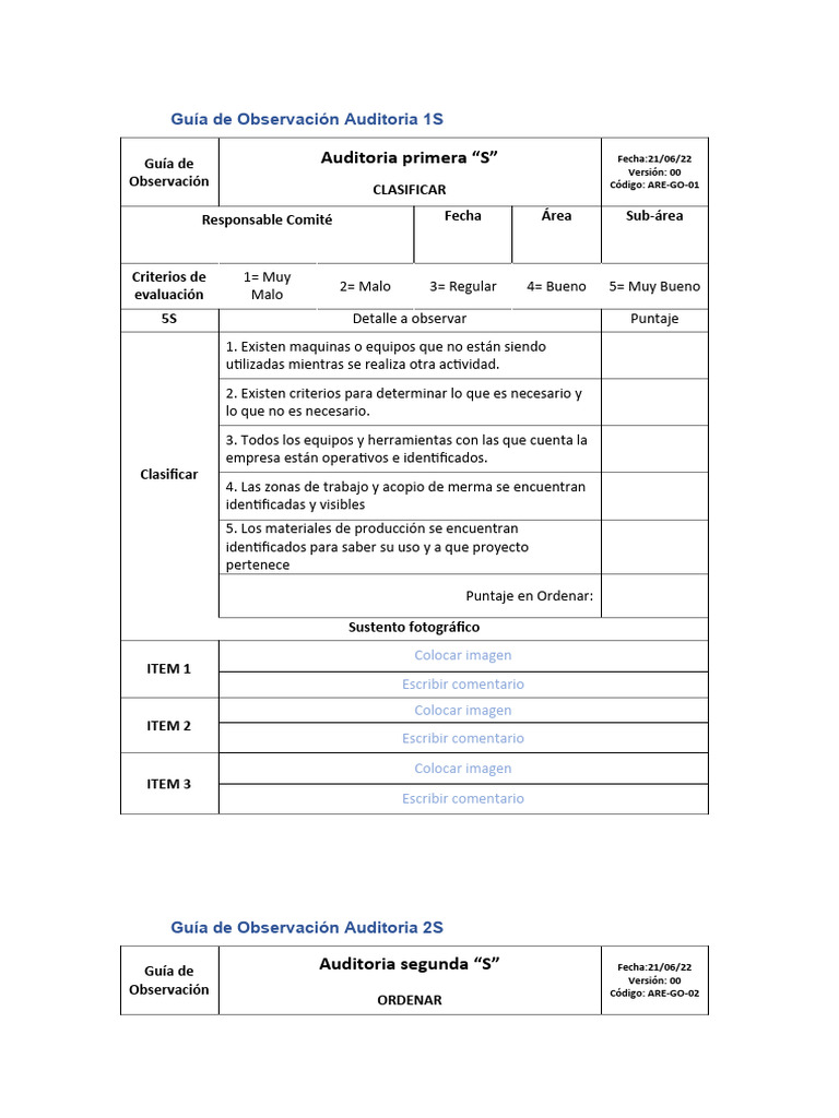 Formato para La 5s | PDF