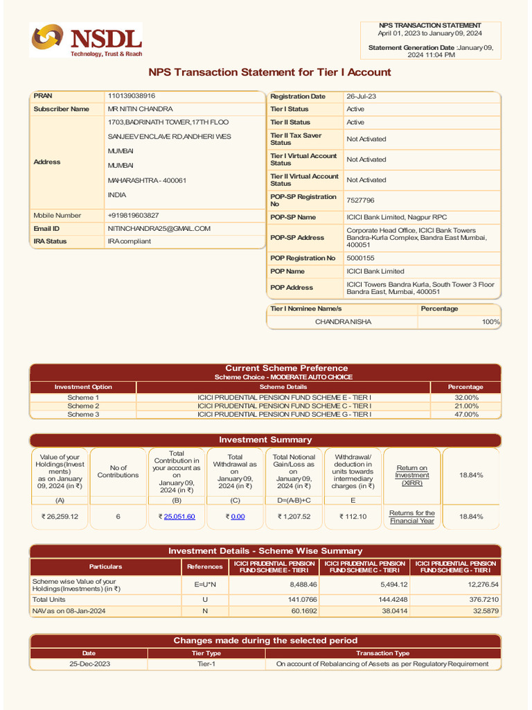 N Ps Portfolio Transaction Statement | PDF