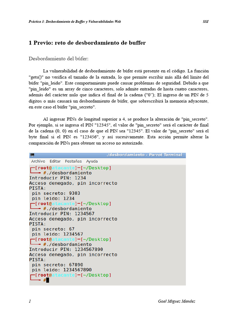 Ssi P3 | Descargar gratis PDF | Datos de computadora | Informática