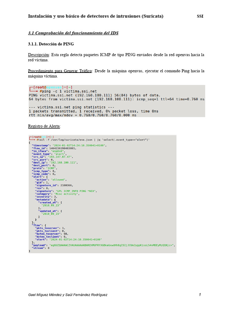 Ssi P6 | PDF | Protocolo de Control de Transmisión | Protocolos de internet