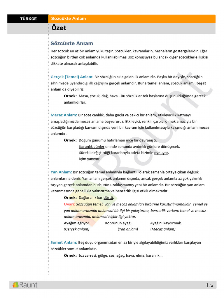 TUR70101M01_Sozcukte_Anlam_RAUNT_Ozet | PDF