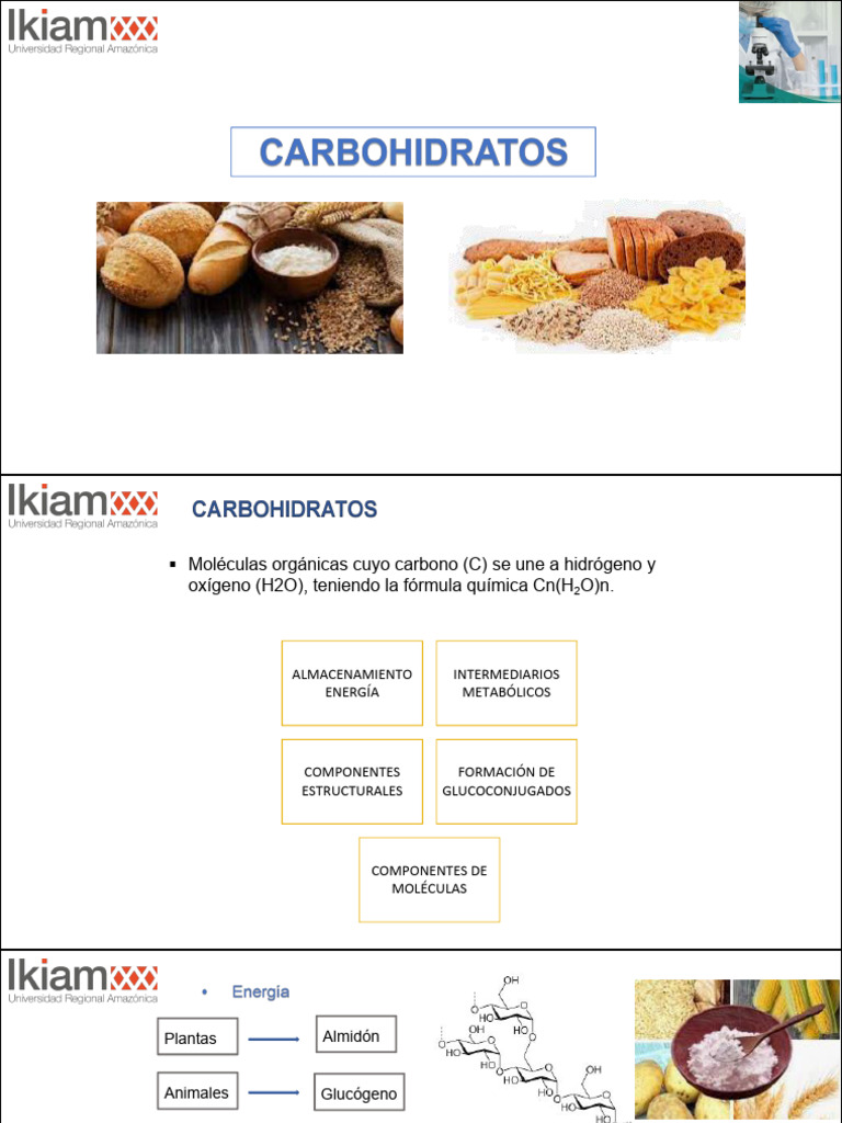 Estructura y Función Carbohidratos | PDF | Carbohidratos | Glucosa