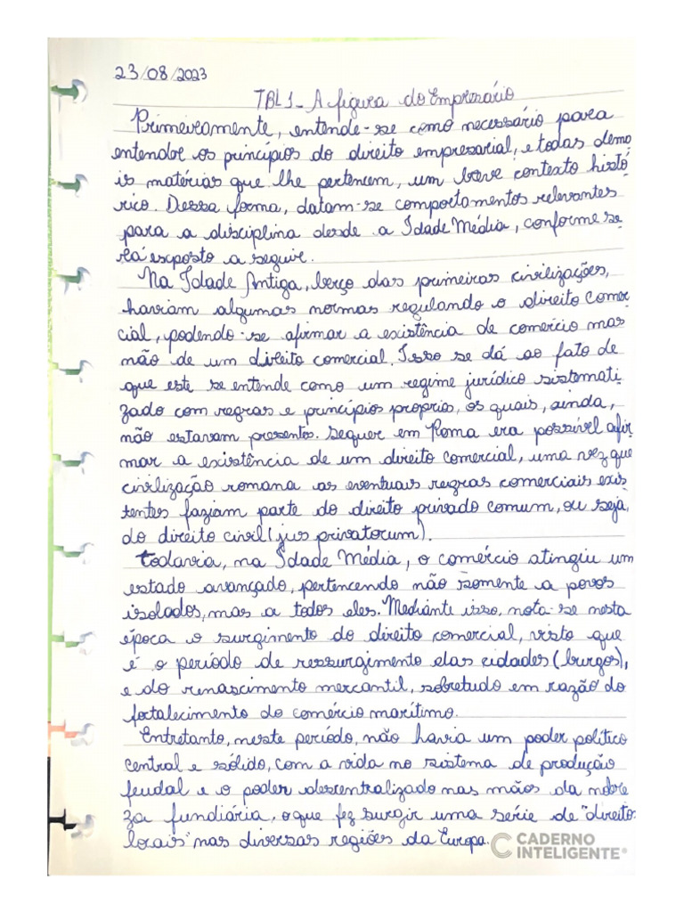 Scheilla Rezende 221015 | PDF