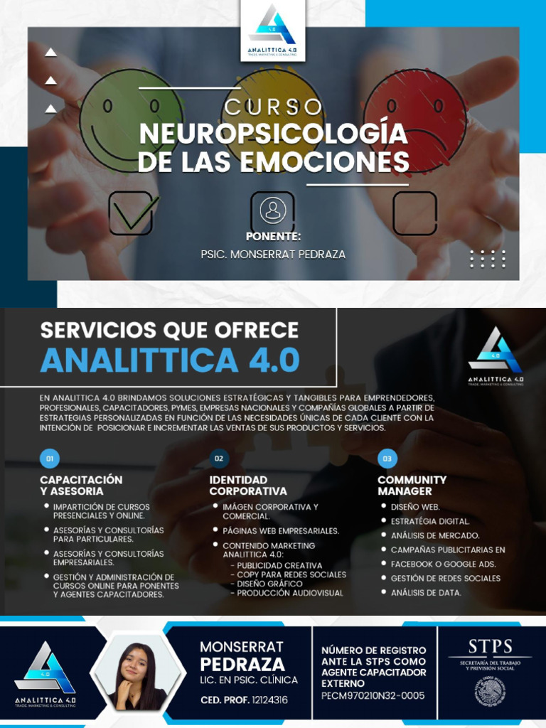 Neuropsicologia De Las Emociones Pdf Neurona Las Emociones