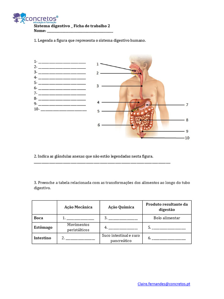 Ficha de Trabalho 2. Sistema Digestivo | Download grátis PDF | Sistema ...
