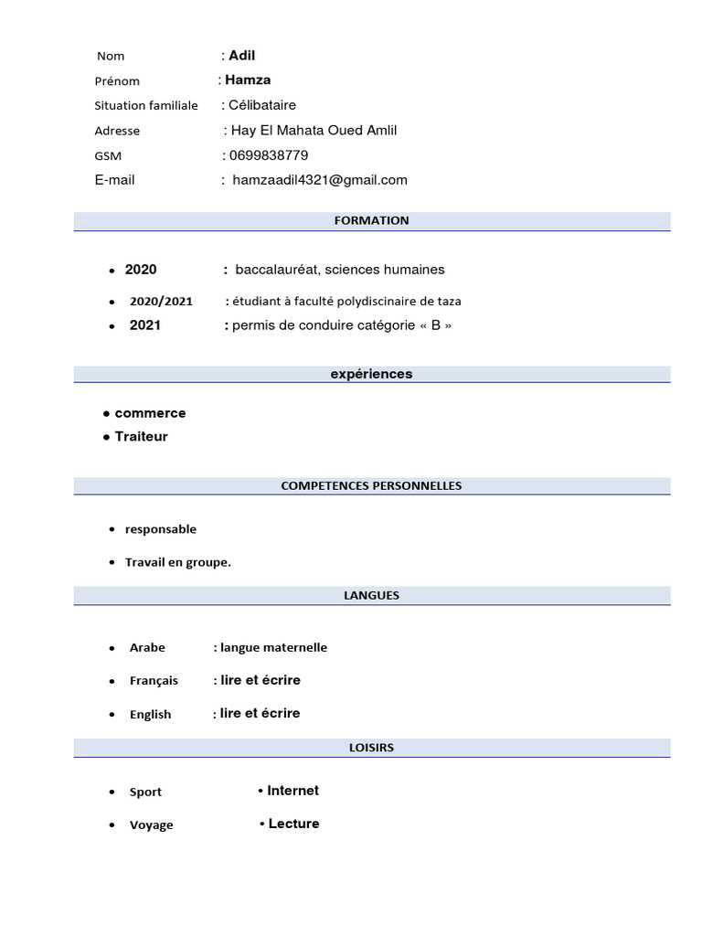 Profil de Hamza Adil | PDF