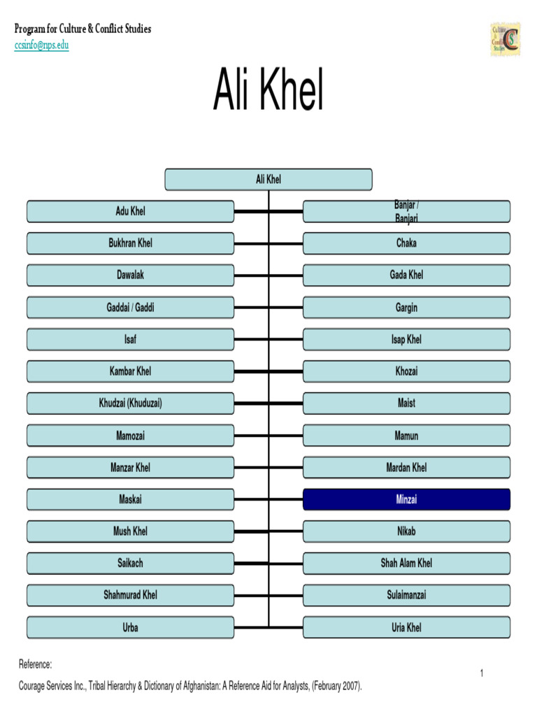 Ghilzai - Ali Khel | PDF