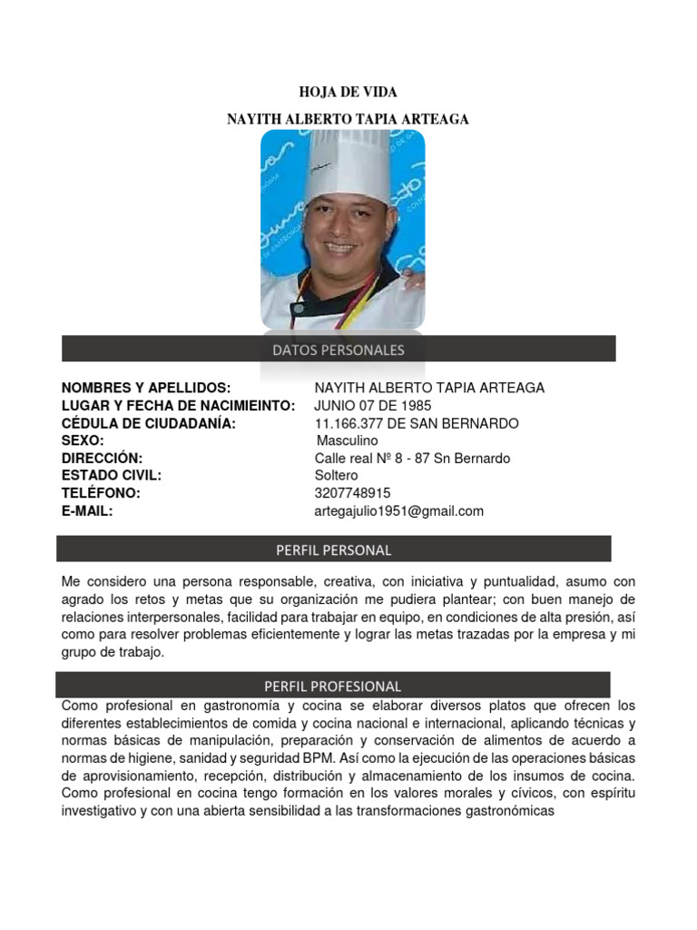 Hoja de Vida | Descargar gratis PDF | Business