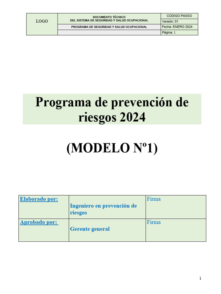 PROGRAMA ANUAL DE PREVENCION 2024 modelo 1 | PDF