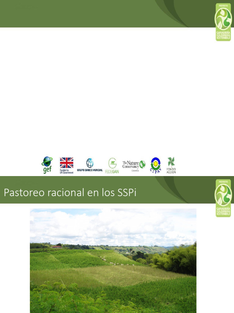 Pastoreo Racional GCS | PDF