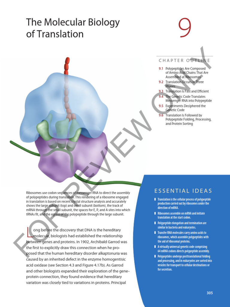 ch9 1 | PDF | Ribosome | Translation (Biology)