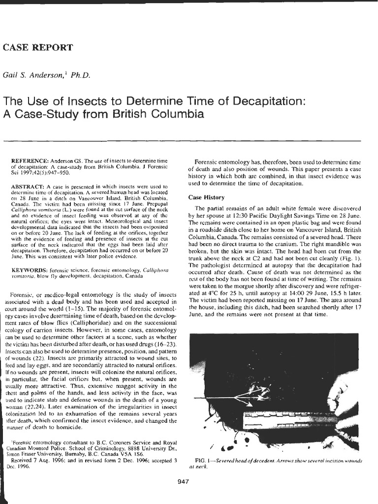 Insects Decapitation | PDF