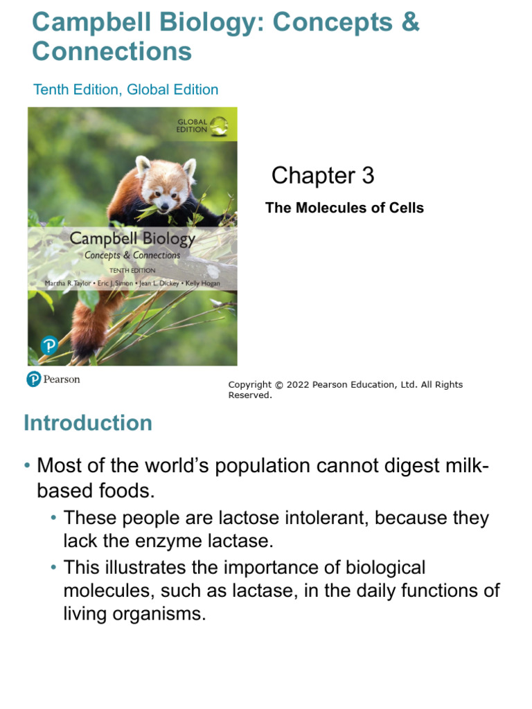 4-Organic Molecules | PDF | Carbohydrates | Protein Structure