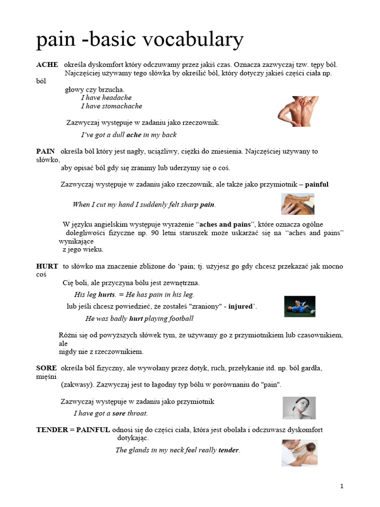 Pain - Basic Vocabulary | PDF