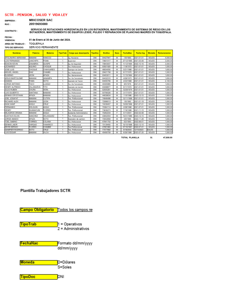 SCTR - VIDA LEY Personal Lixiviación Toquepala 01 Enero Al 30-06-2024 | PDF