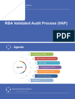RBA-RBA Validated Audit Process Operations Manual 8.0-Code Interpretation-69 | PDF