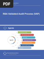 RBA Auditor Guidebook Overview | PDF | Audit | Auditor's Report