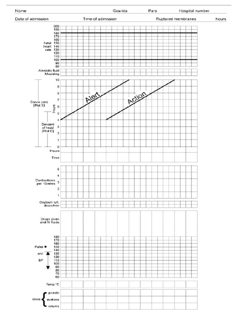 Who Partograph Form | PDF