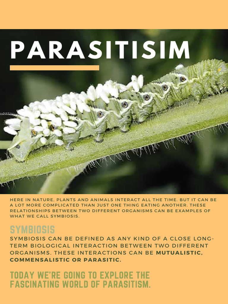 INFOGRAPHIC_Parasitism | PDF