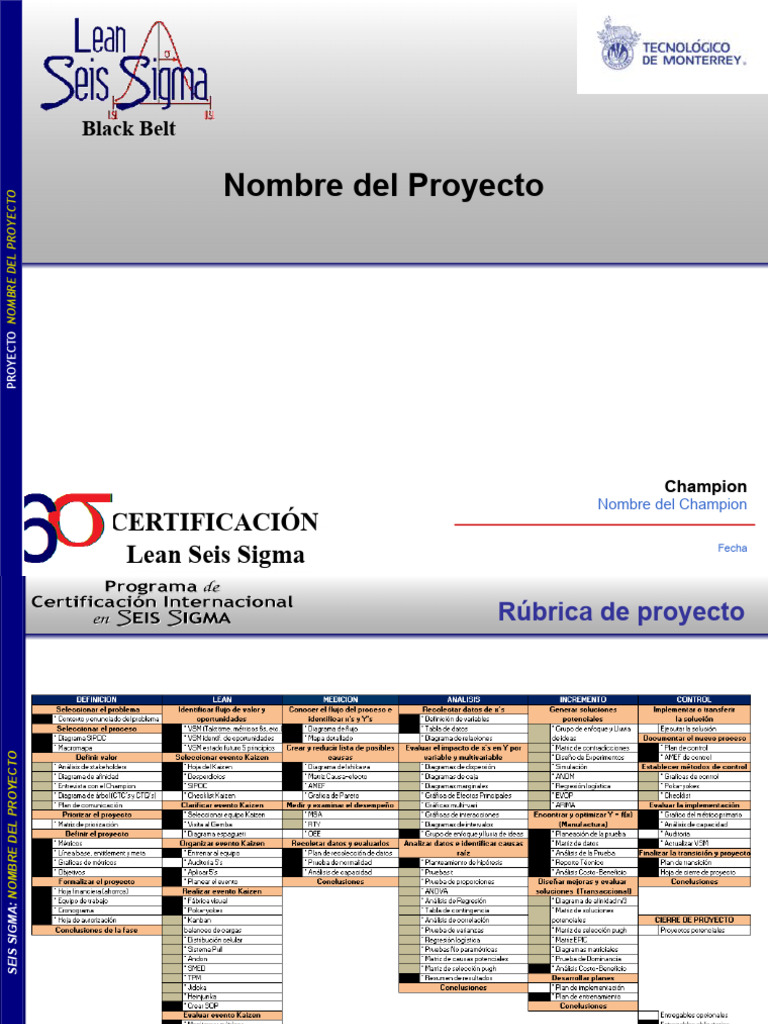 Proyecto BB DMAIC | PDF | Six Sigma | Extrusión