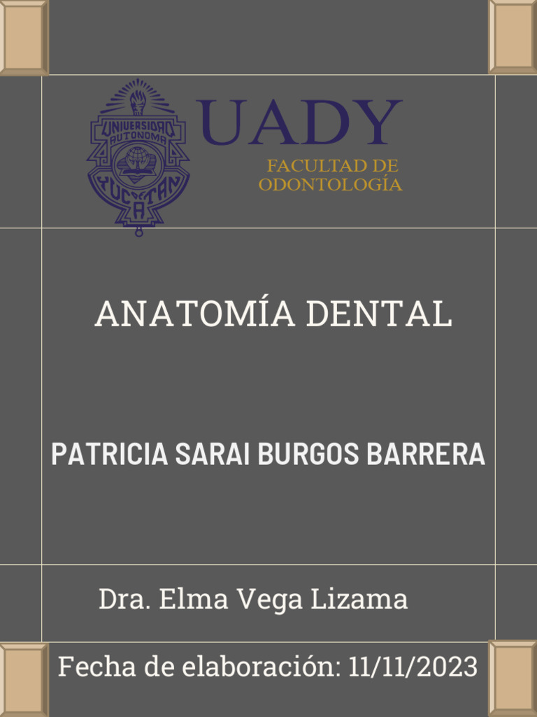 ADA 5. Tallado de dientes en cera. Burgos Barrera Patricia Sarai | PDF ...