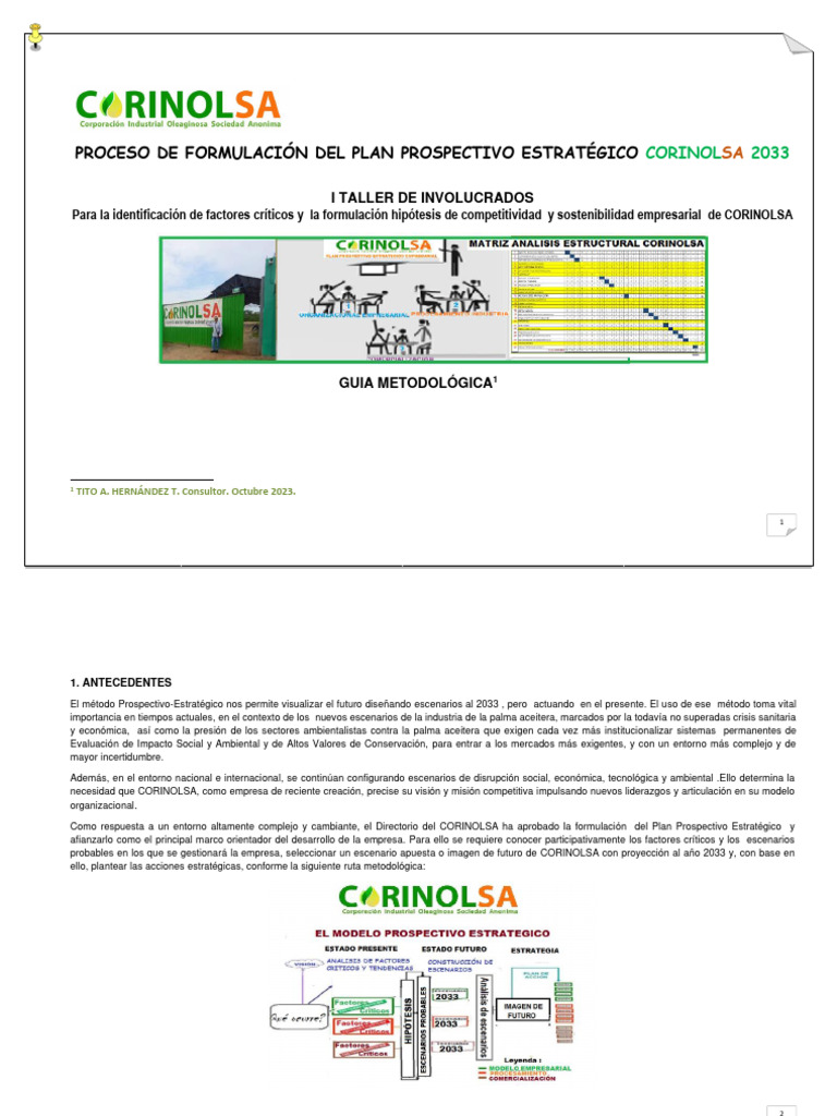 Prospectiva Empresarial Guia Primer Taller Ppe Corinolsa 2033, 15.10.2023 | PDF | Business ...