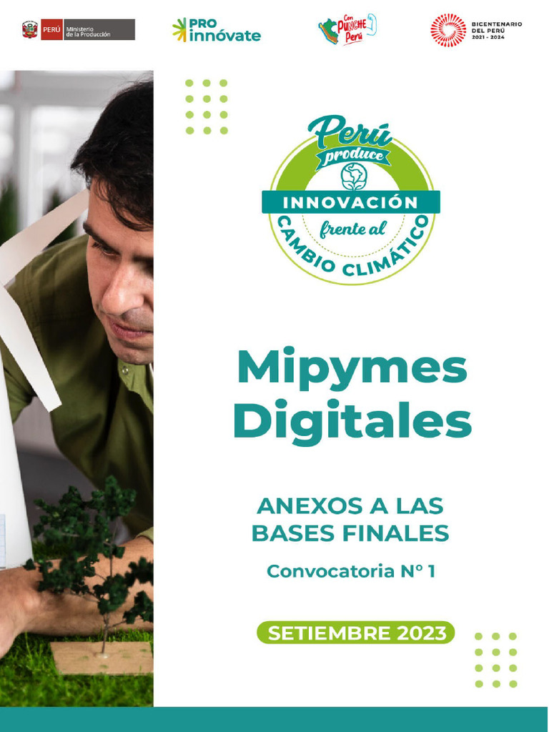 Anexos de Bases Finales Mipymes Digitales 15.09.23 | PDF | Uso eficiente de energía | Agricultura