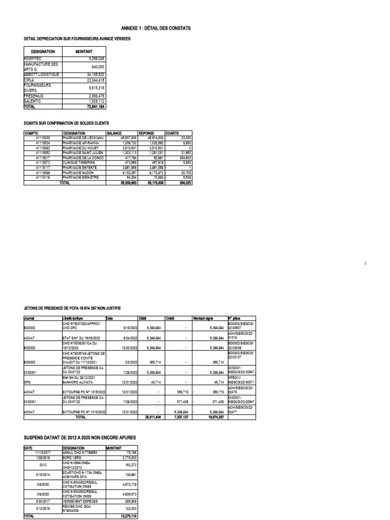 Annexe Rapport Definitif Au CA Cameg 2022 Mba | PDF