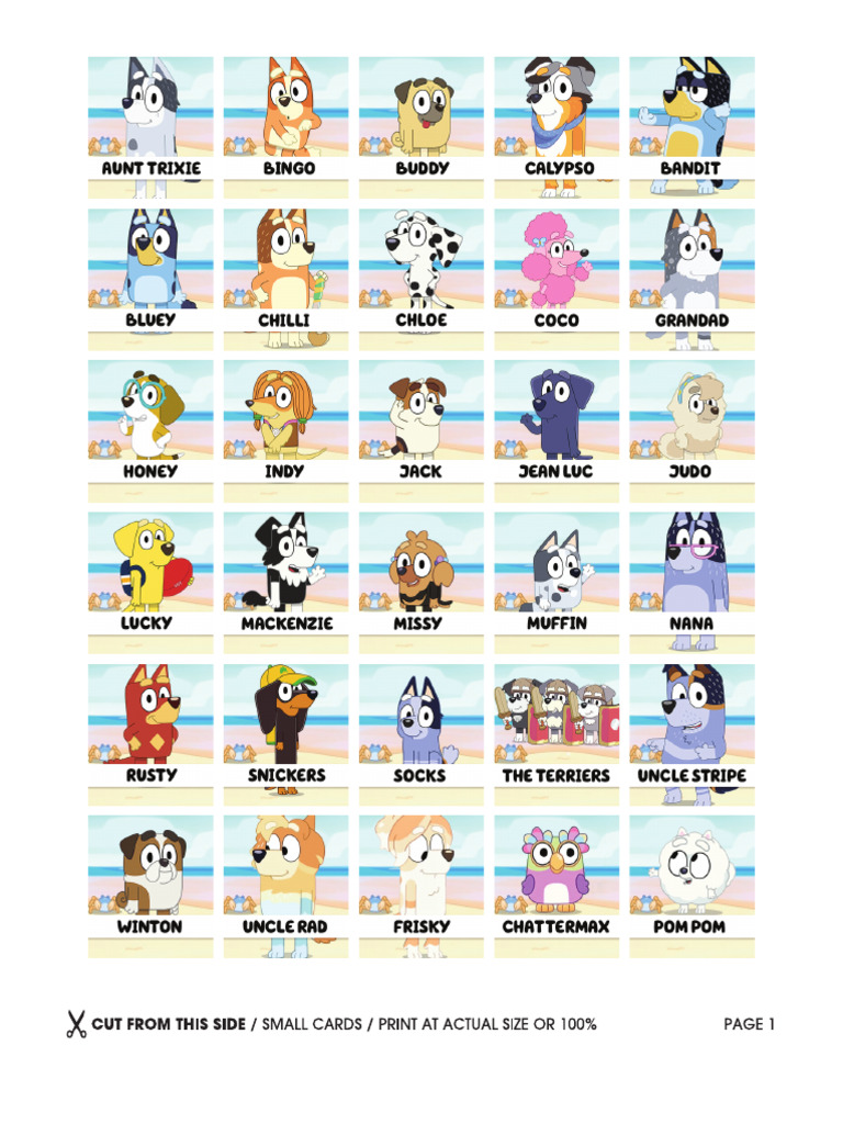 Bluey SMALLPIECES Full | PDF