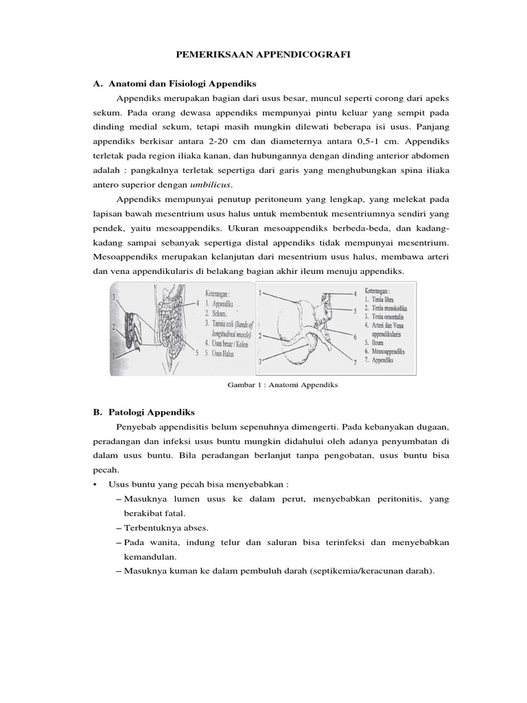 Modul Praktikum Teknik Radiografi Appendicografi | PDF