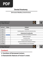 Dental Chart BSAVA | PDF | Tooth | Periodontology