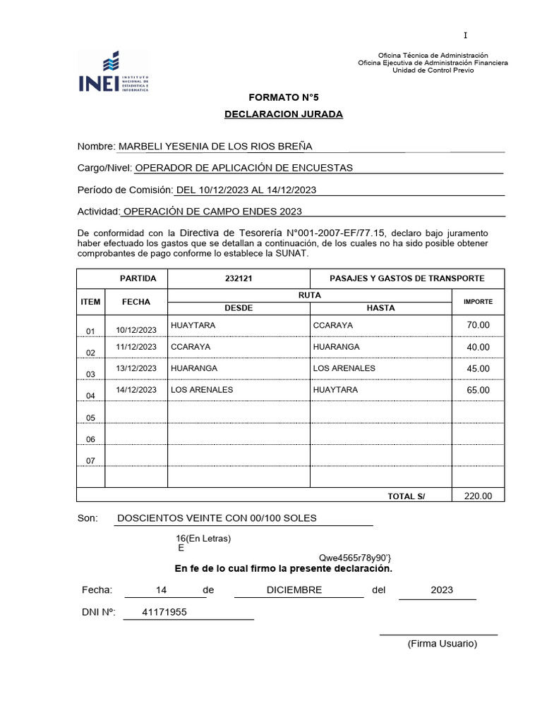 Formato 5 2023 DICIEMBRELUZ | PDF