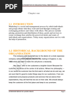 Calmsun Marketing Campaign Strategy | PDF | Marketing | Brand