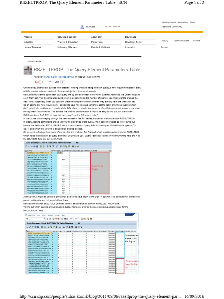 RSZELTPTOP Query Element Parameters - Know External Access For All Queries | PDF | Computer ...