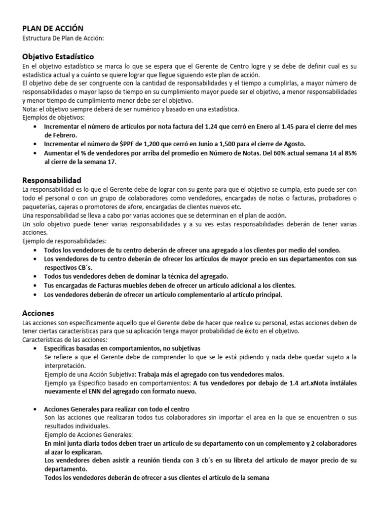 Estructura Plan de Accion-1 | PDF