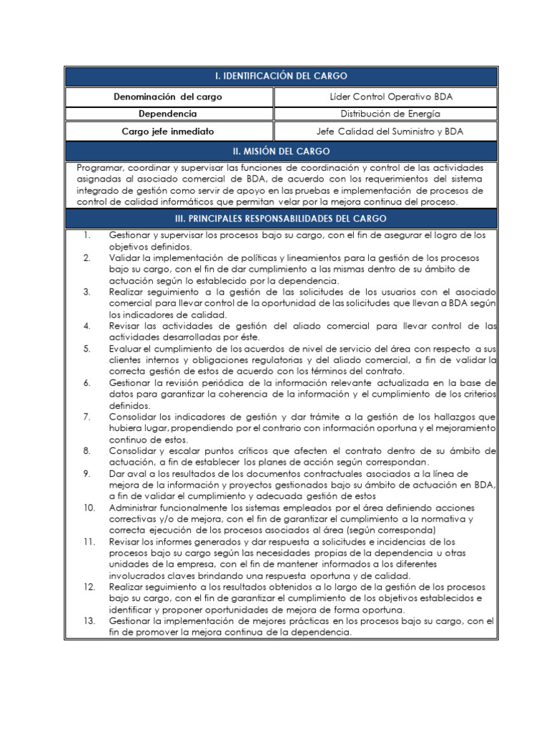 Líder Control Operativo Bda | PDF | Calidad (comercial) | Informática