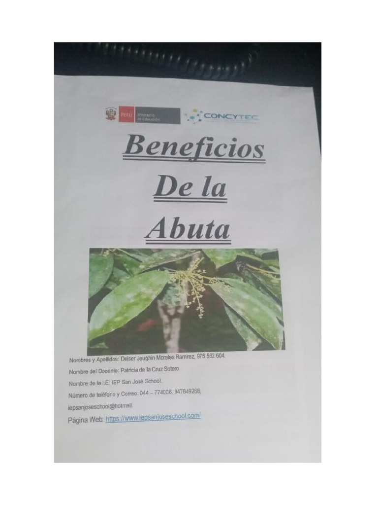 Beneficios de La Abuta | PDF