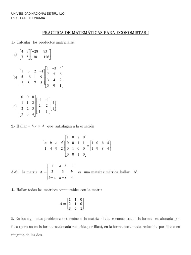 Practica de Matrices | PDF