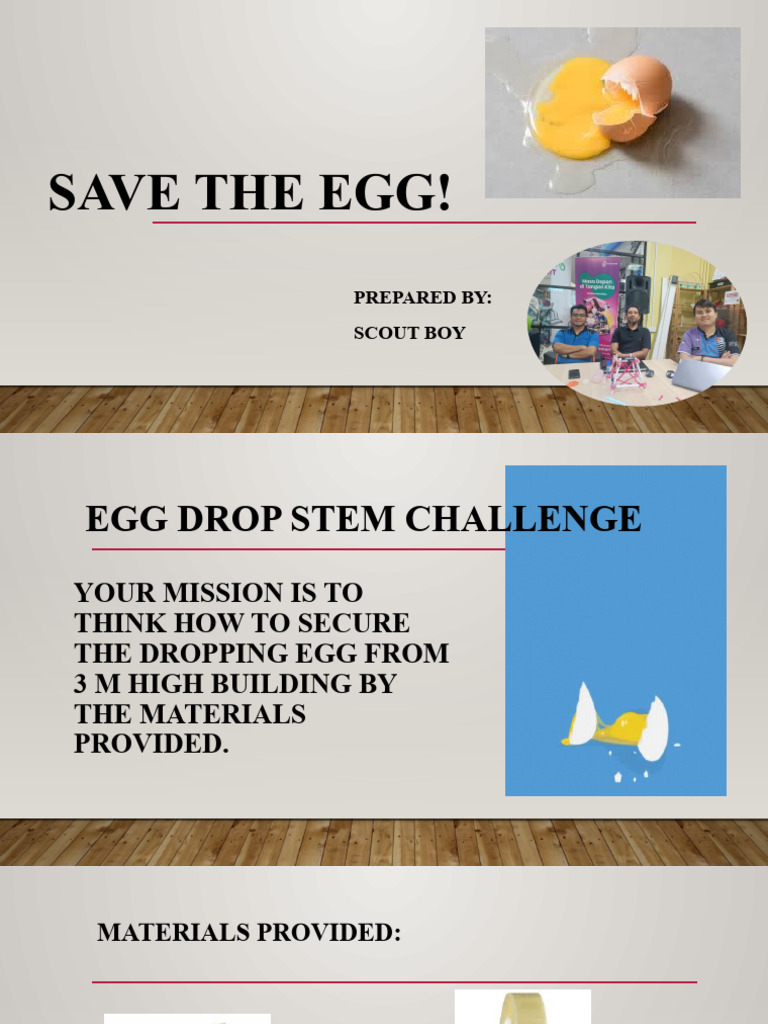 Save The Egg! | PDF