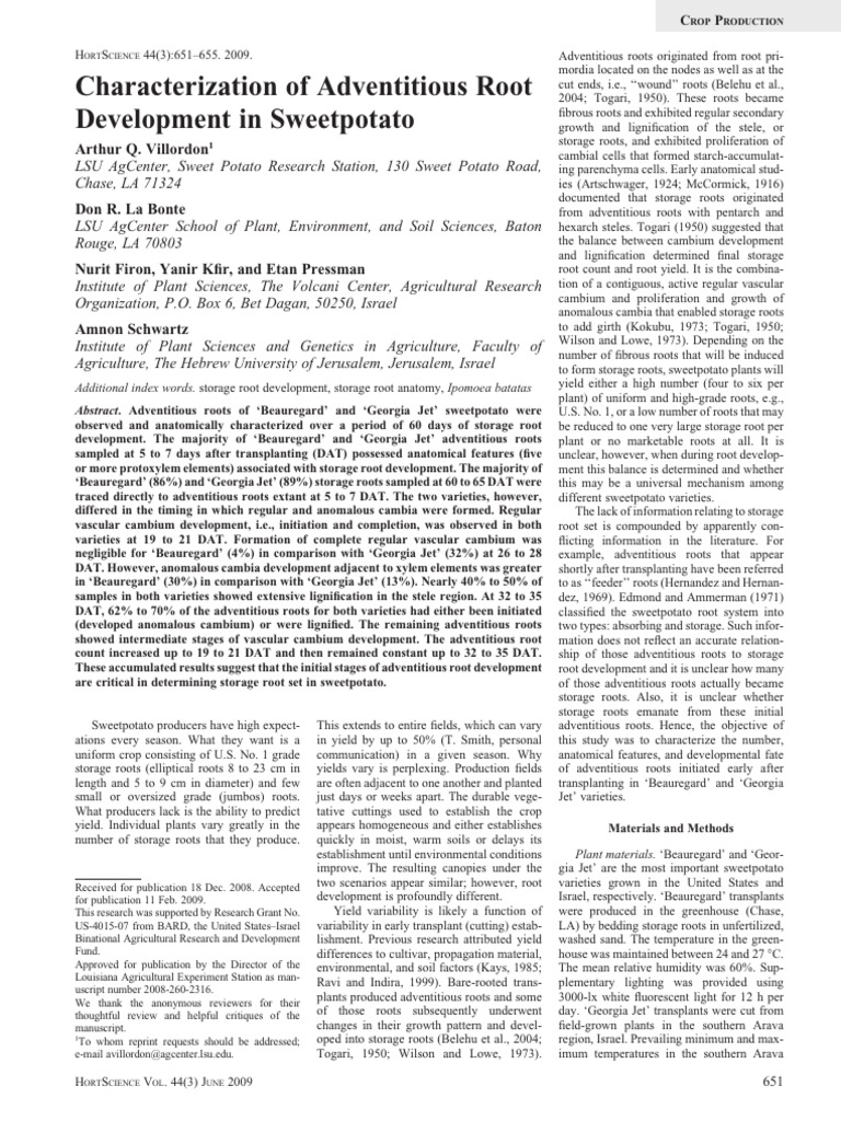 Characterization of Adventitious Root Development in Sweetpotato | PDF ...