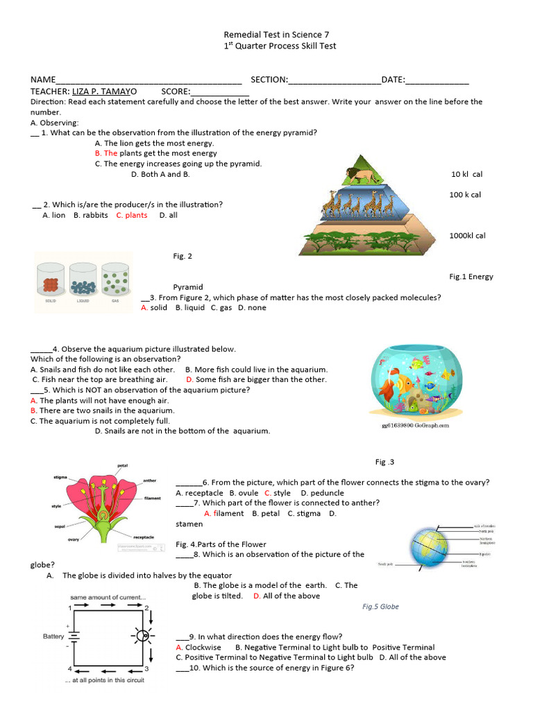 Grade 7 Remediation Material | PDF