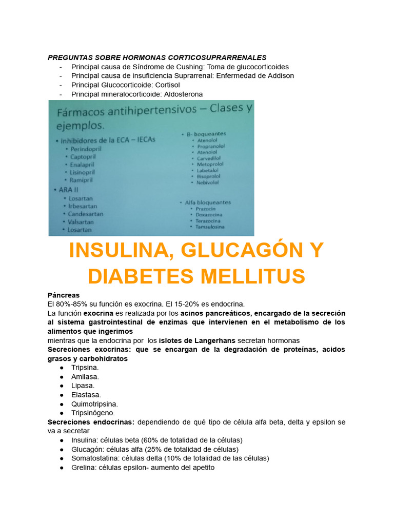 Clase 4 - 2 Sem 2023.docx-1 | PDF