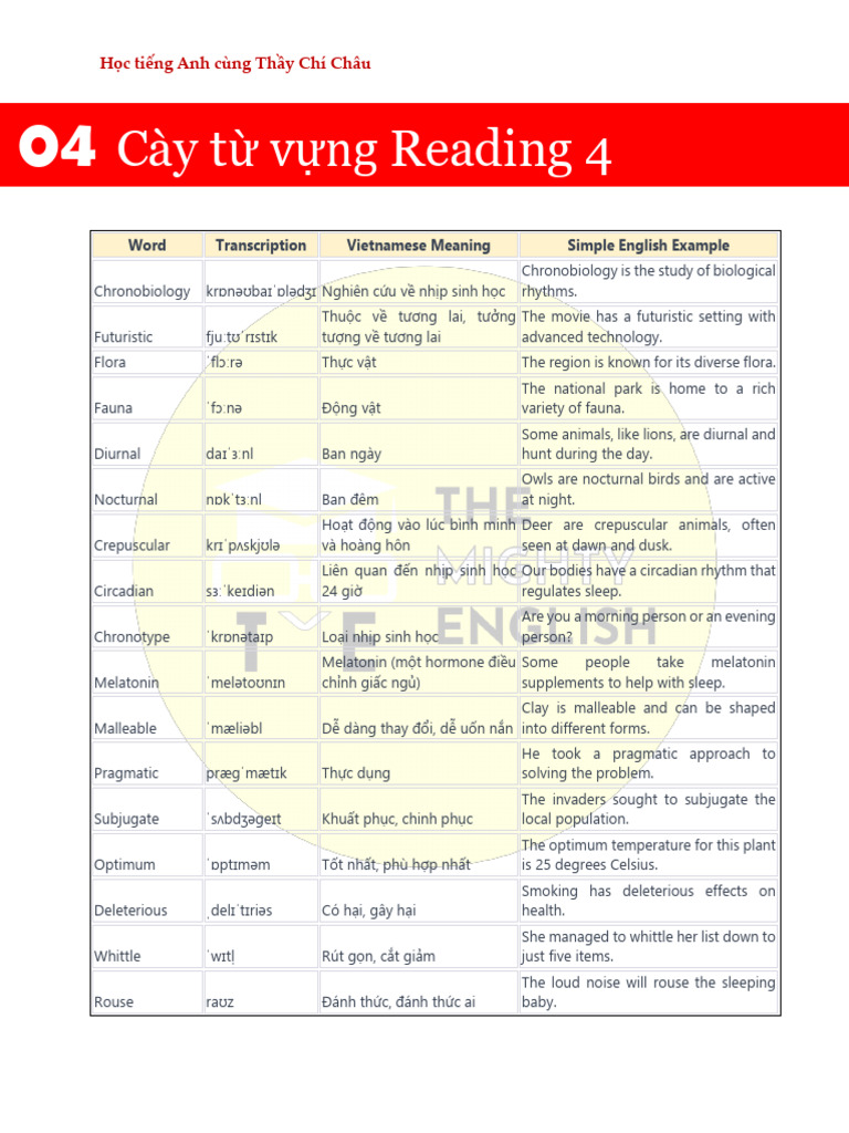 Cày từ vựng Reading 4: Học tiếng Anh cùng Thầy Chí Châu | PDF