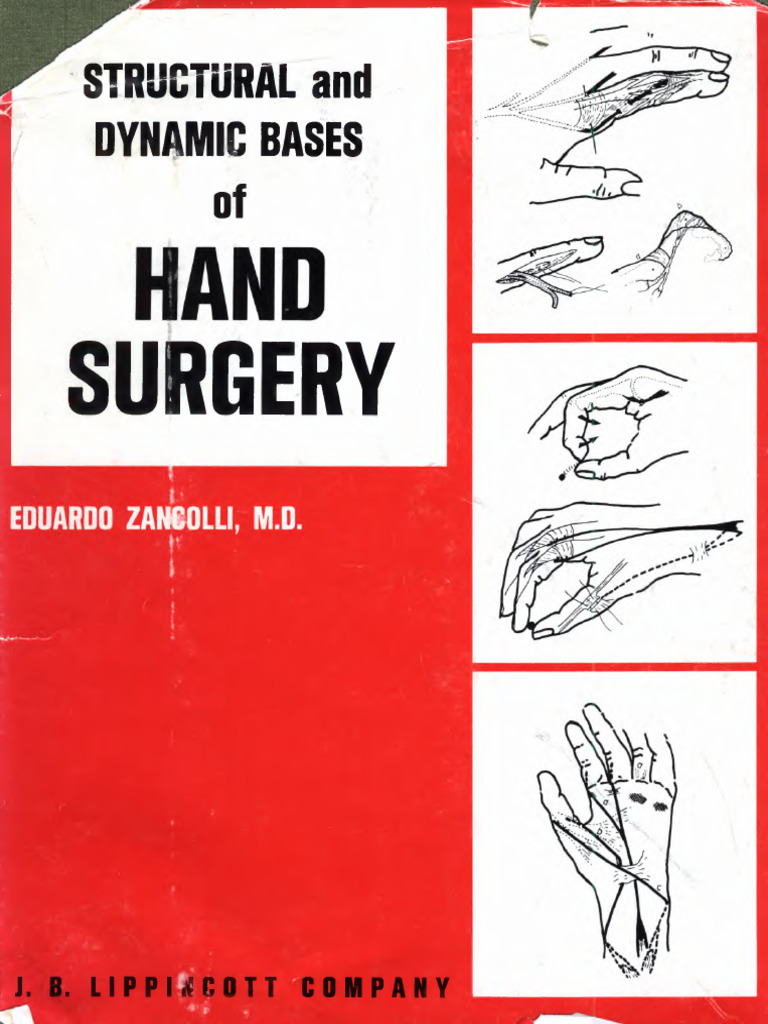 Structural and Dynemic Base of Hand Surgery | PDF | Musculoskeletal ...